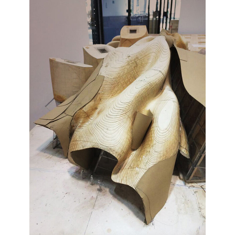 Research in the shadow of fame: Frank Gehry's career