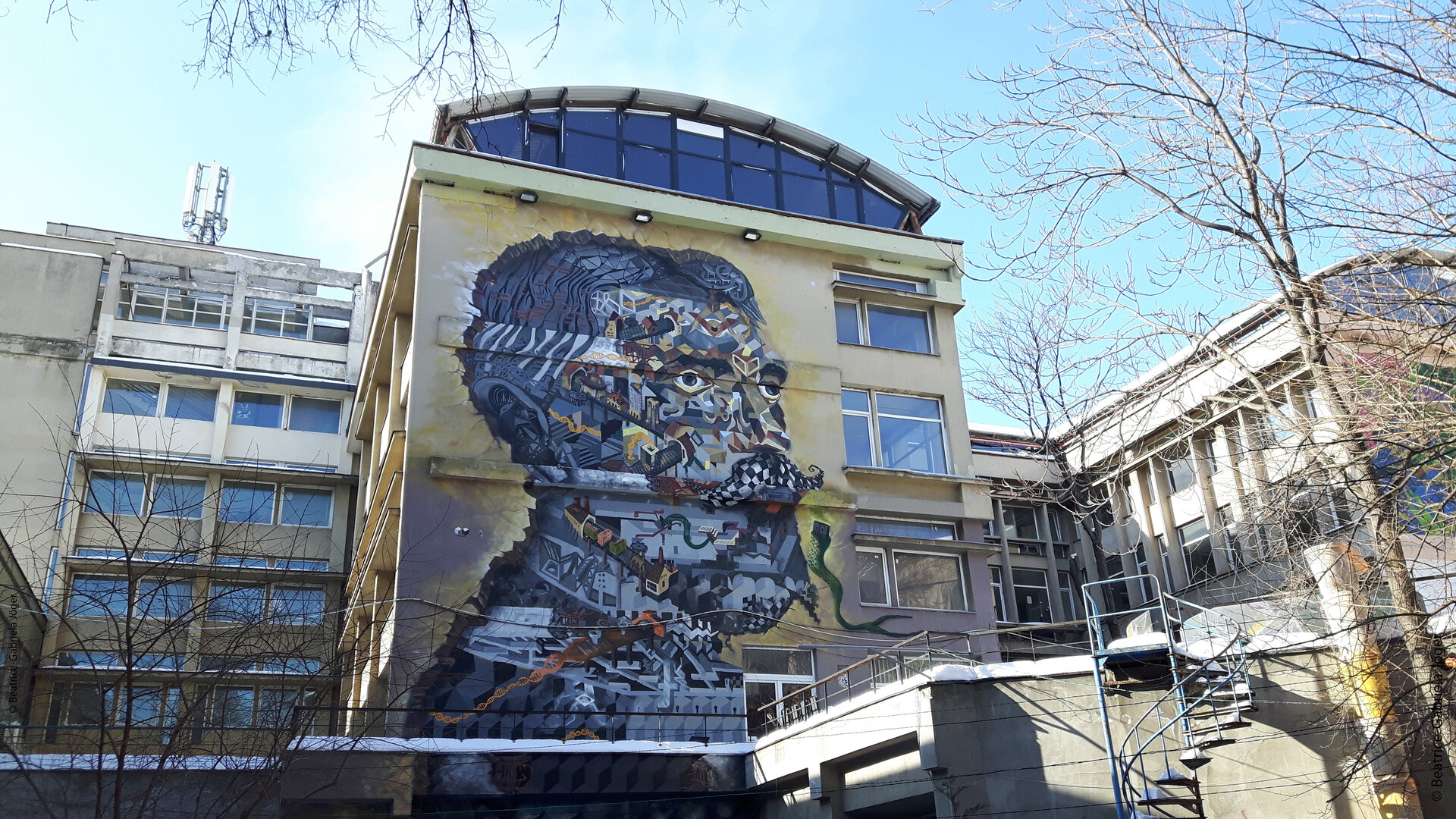 Curricula. Tradition. Continuity. Growth